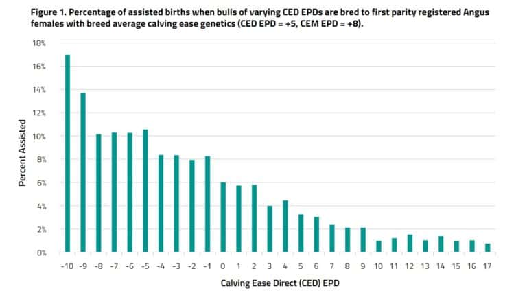 How Much Calving Ease is Enough? - GENEX