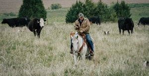 Beef Archives - GENEX