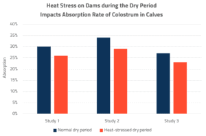Calving equals colostrum - GENEX