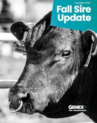 BEEF – GENEX
