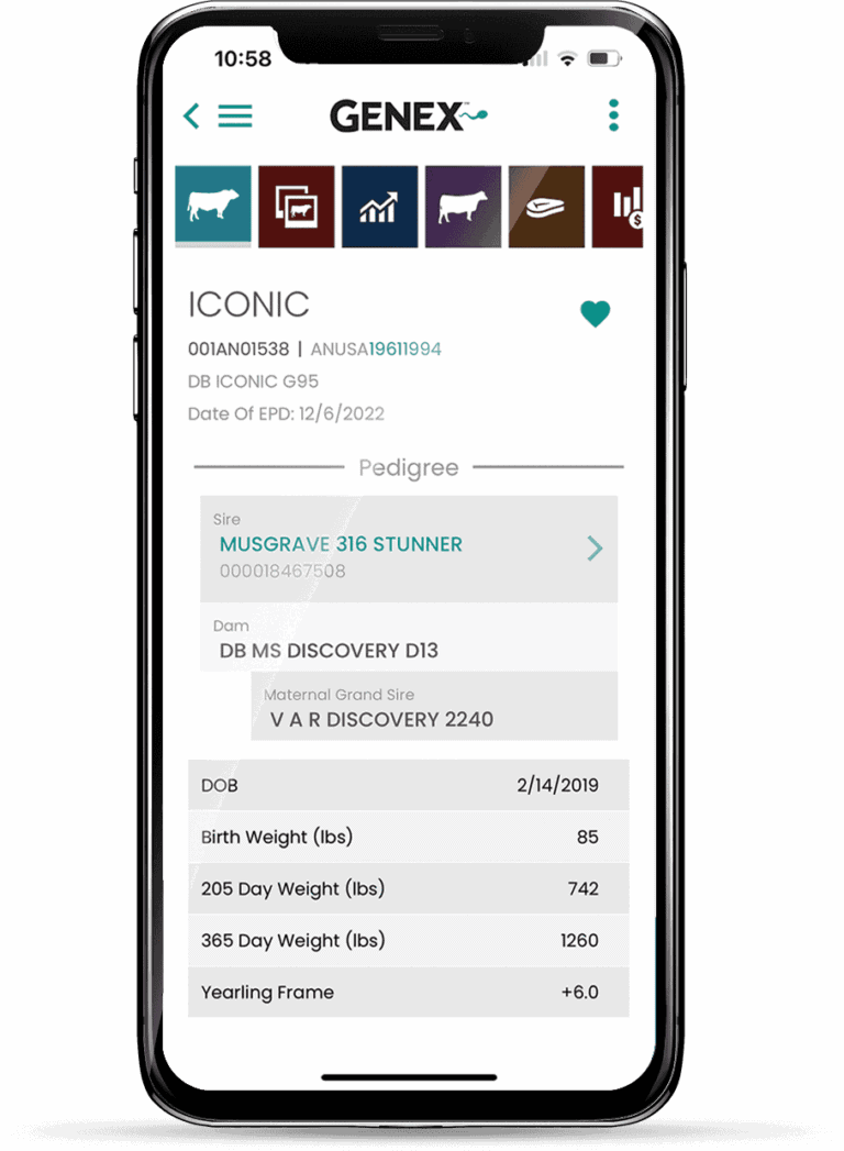 Beef App - GENEX