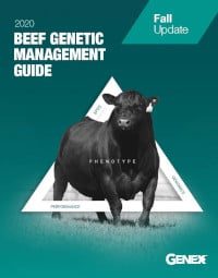 BEEF – GENEX